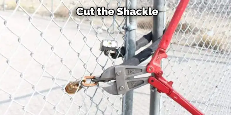 How to Cut a Master Lock with Bolt Cutters in 6 Easy Steps