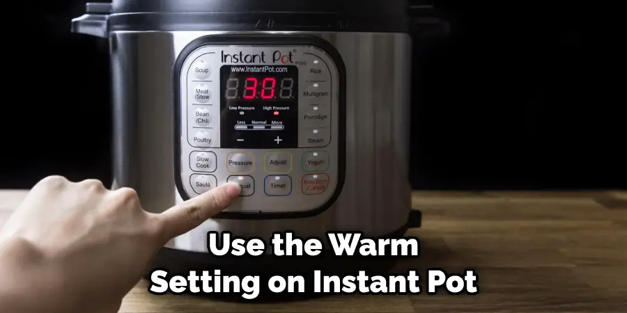 How to Keep Food Warm in Instant Pot | 10 Effective Ways