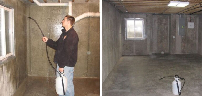 How To Clean Unfinished Basement Walls 5 Easy Steps 2024