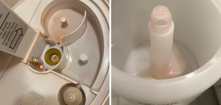 How to Prevent Pink Mold in Humidifier | 9 Best Ways (2026)