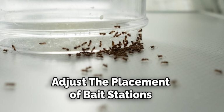 How to Use Raid Ant Baits | 4 Easy Steps (2025)
