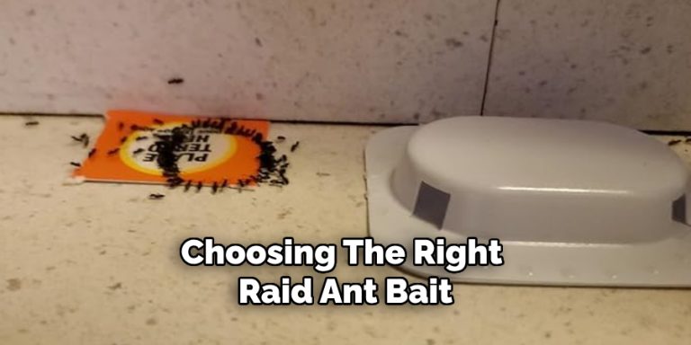 How to Use Raid Ant Baits | 4 Easy Steps (2025)