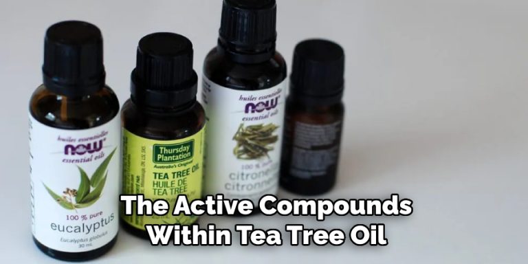 How to Use Tea Tree Oil for Bed Bugs | 10 Easy Methods (2026)