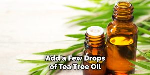 How to Use Tea Tree Oil for Bed Bugs | 10 Easy Methods (2025)